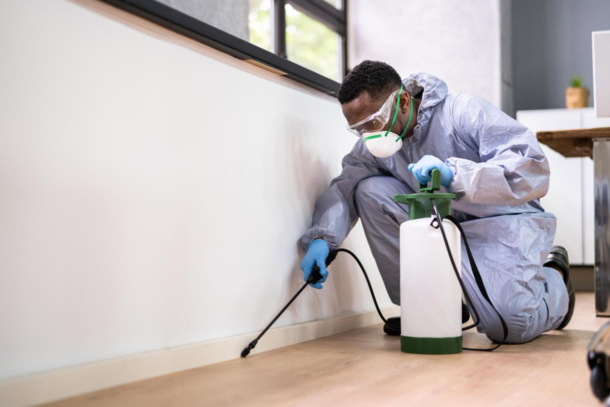 Biorational Pest Control Approaches - apexpestcontrol.com.au